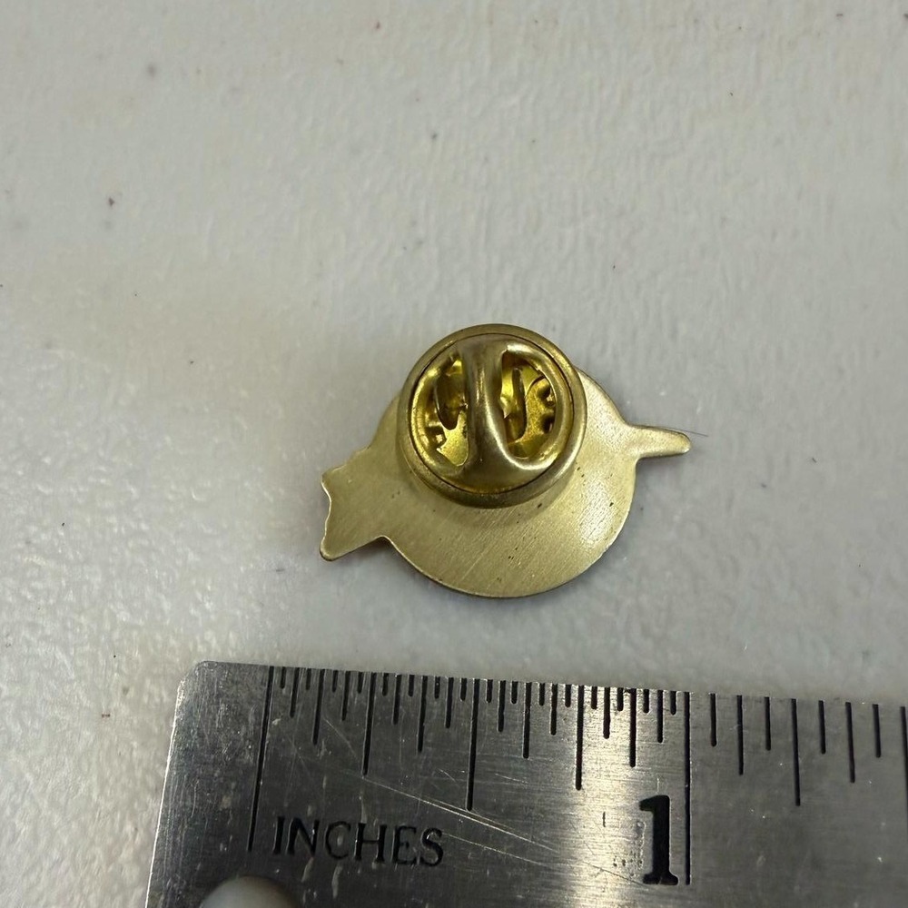 Unbranded | Jewelry | Vintage Meteor Crater Arizona Souvenir Enamel Pin ...